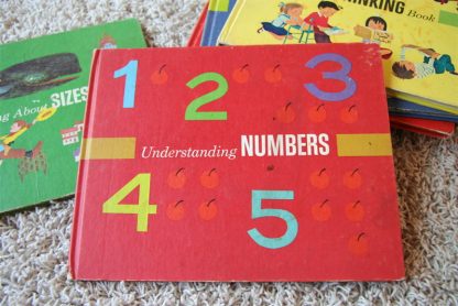Understanding Numbers illustrated by J.P. Miller - Wee Wonderfuls
