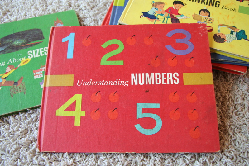 Understanding Numbers illustrated by J.P. Miller - Wee Wonderfuls